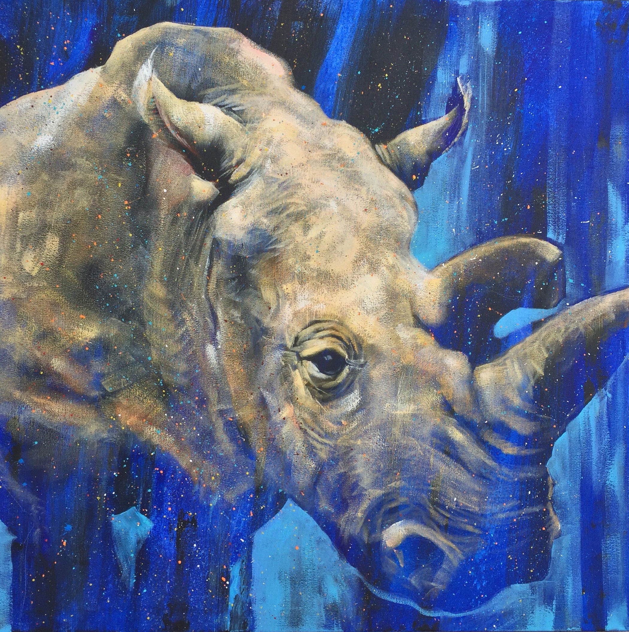 Animal Paintings, Animal Canvas Print | Stephen Fishwick Art - Stephen ...
